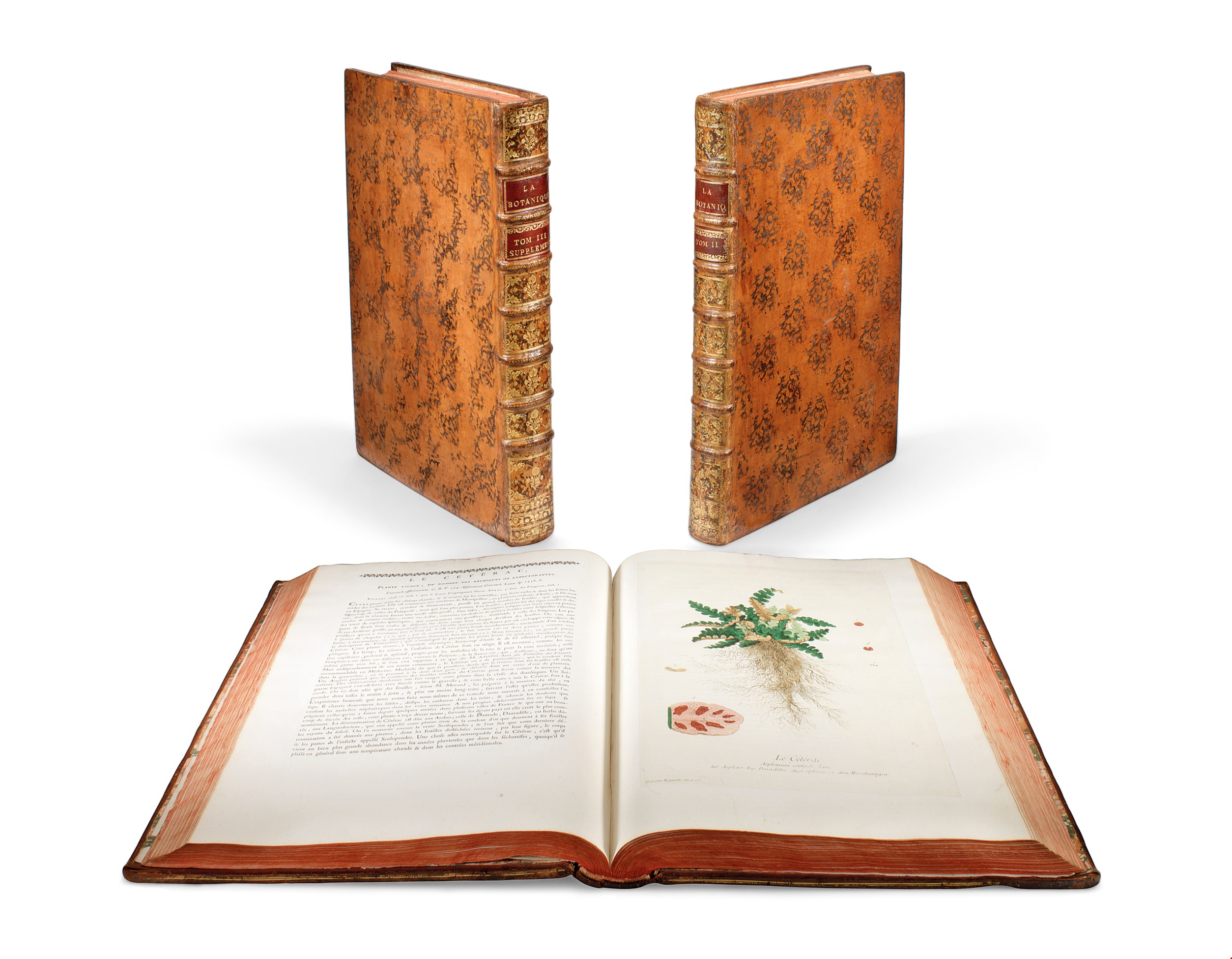 REGNAULT Nicolas François (1746-c.1810) and Geneviève de Nangis ...