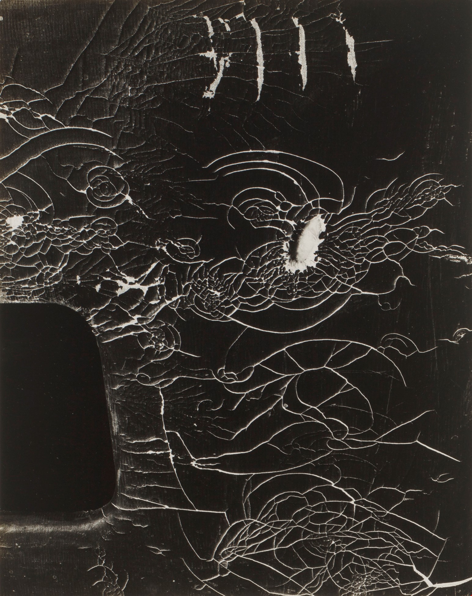 EDWARD WESTON (1886–1958)