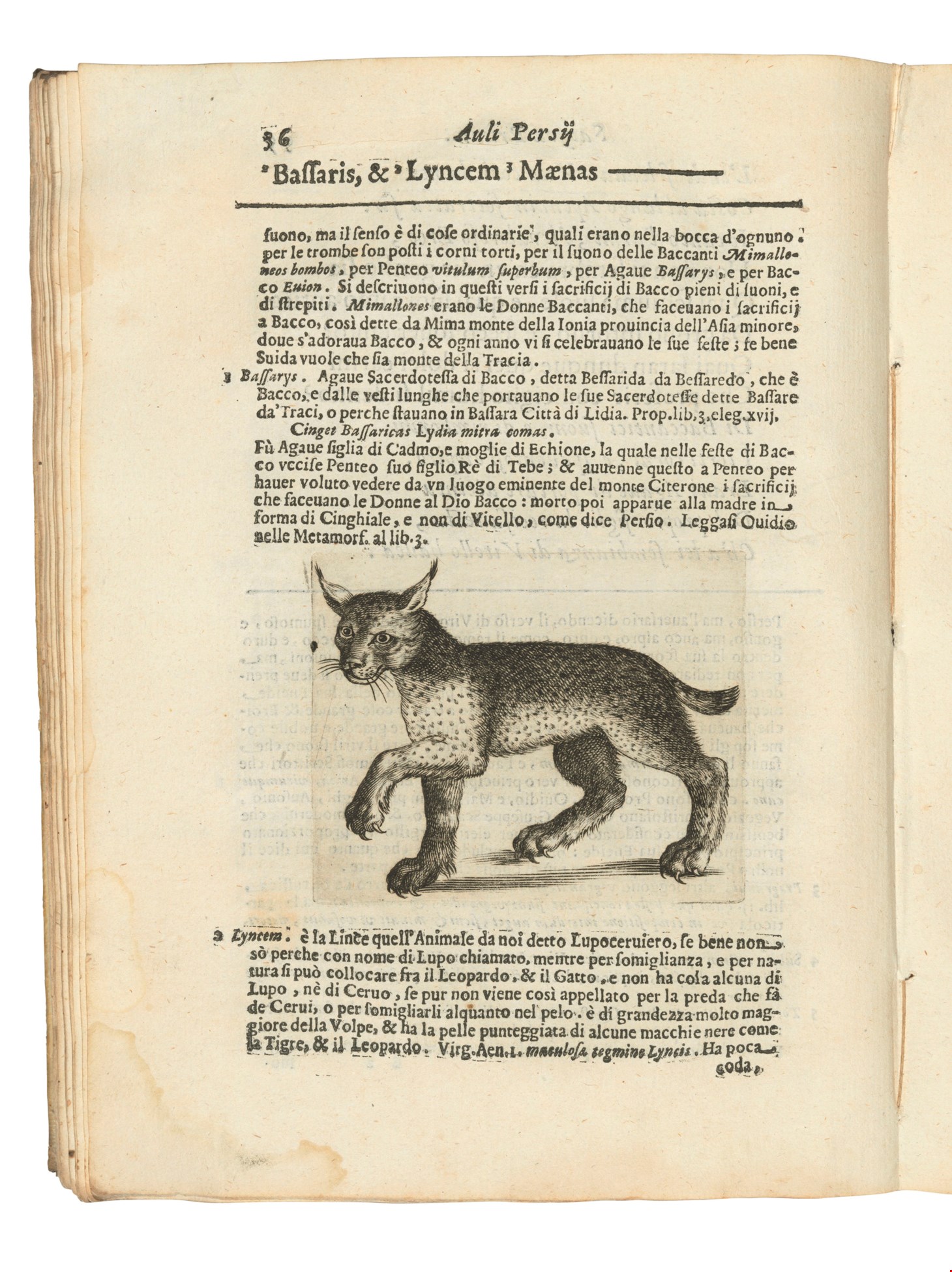 STELLUTI, Francesco (1577-1653, editor and translator) – PERSIUS ...